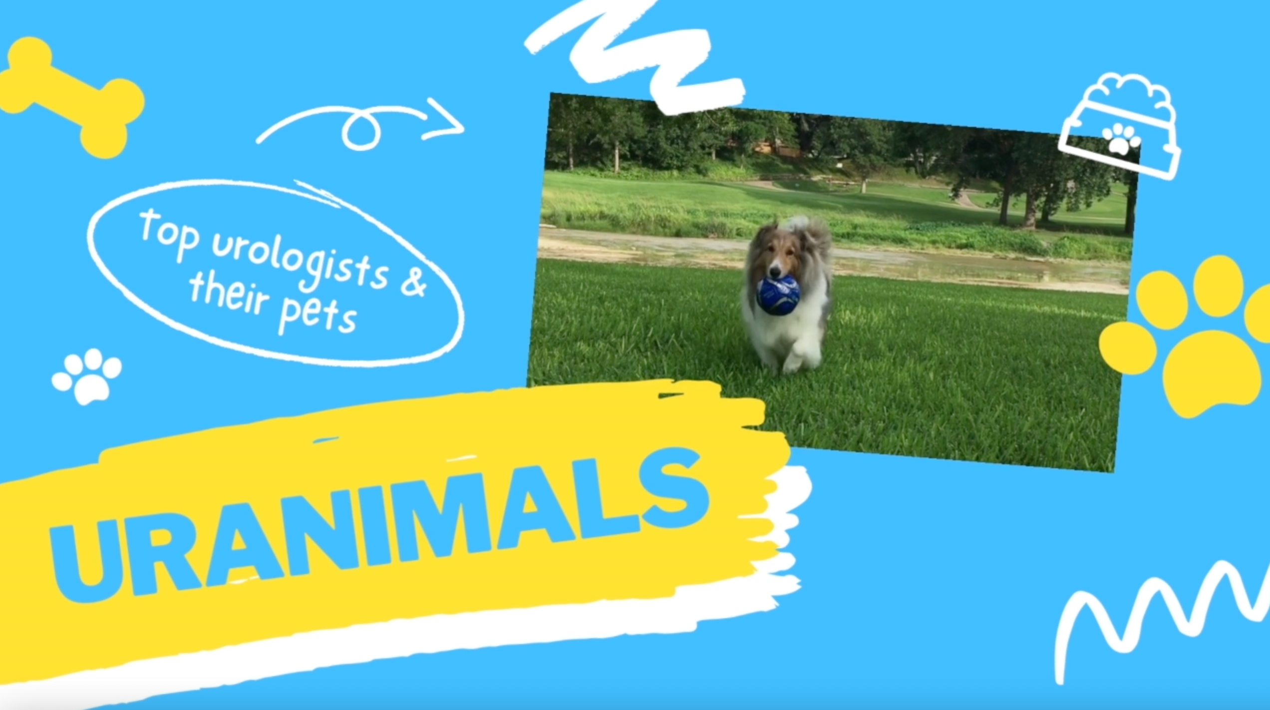 Uranimals: Episode 7 | Urology Times