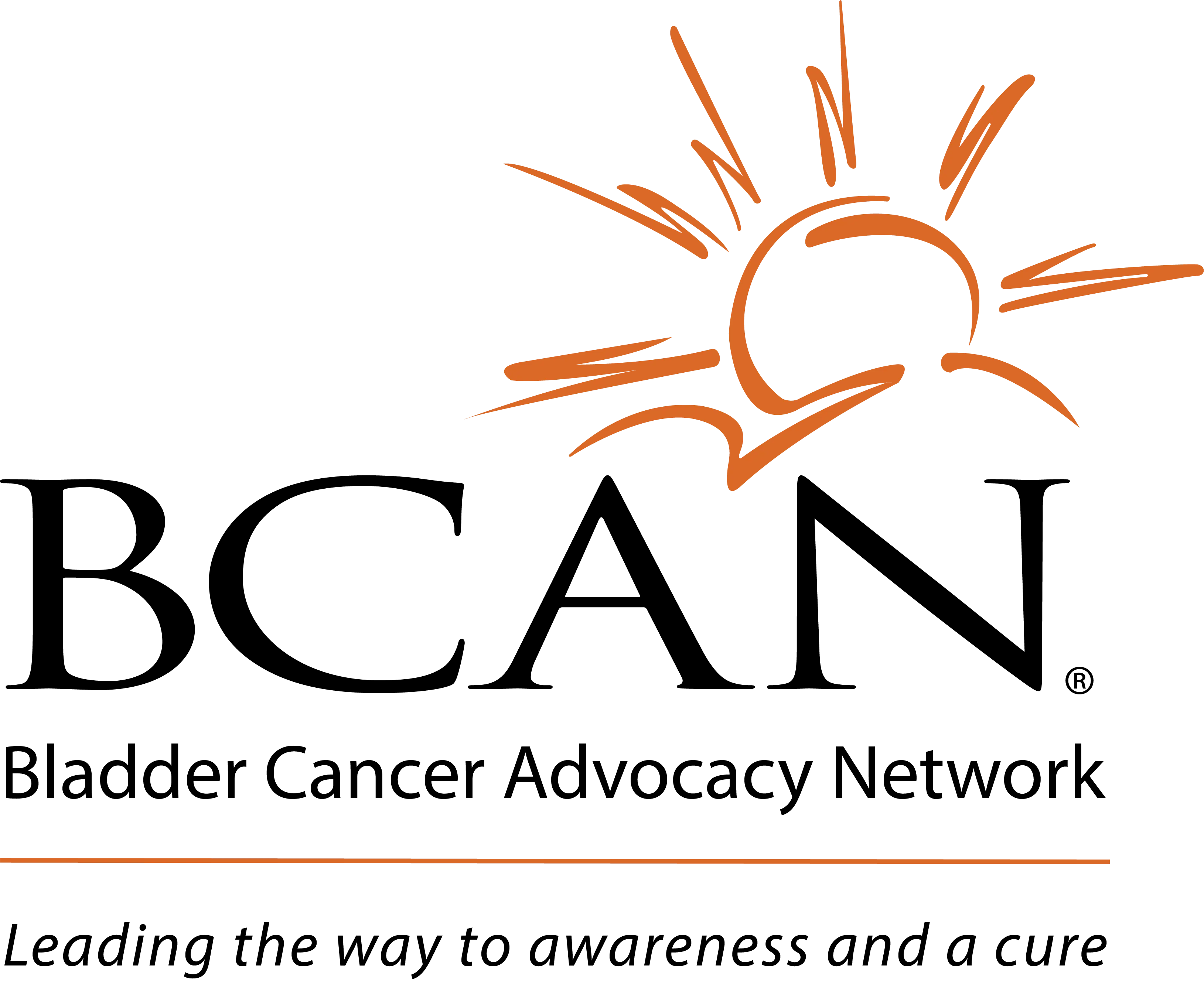 BCAN’s Young Investigator Awards are open