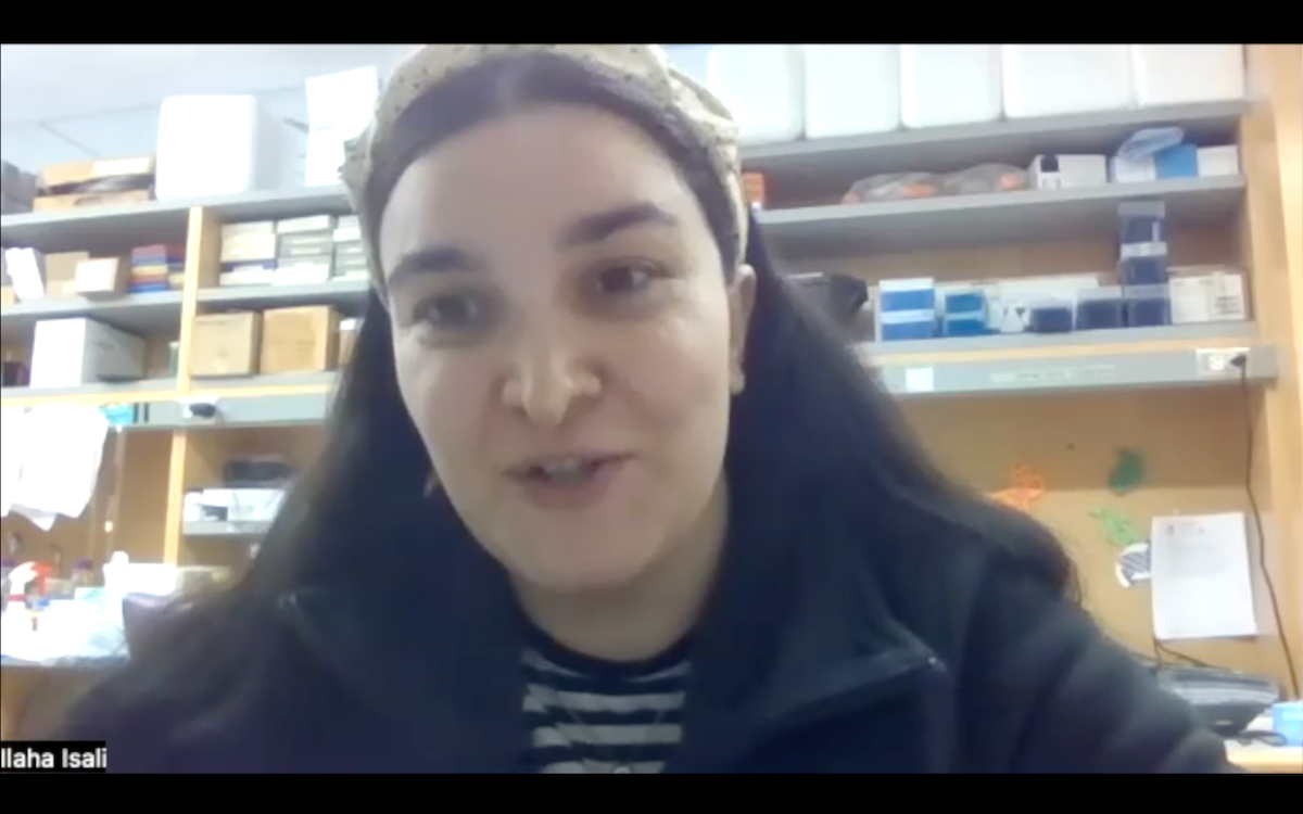 Dr. Isali on the development of a co-electrocompacted bladder patch for ...