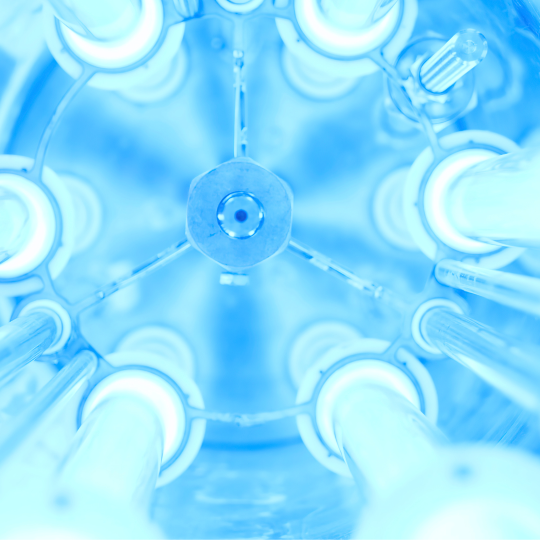 Clean and Green | Club Northwest