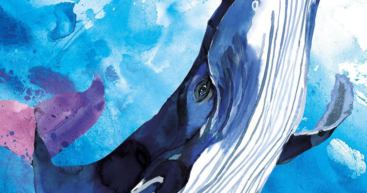 Sarah Maycock • Handsome Frank • Home to the world's greatest illustrators