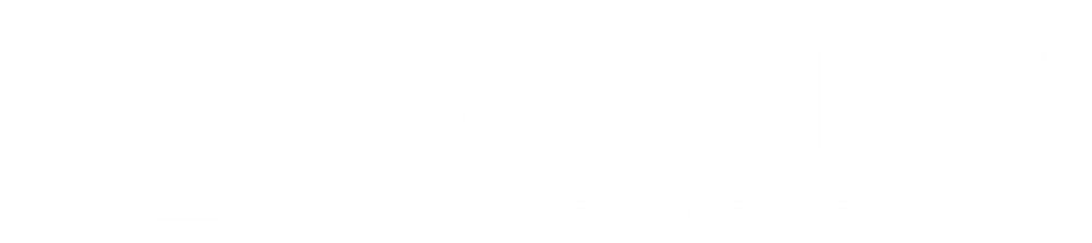 How Strise Uses AI to Combat AML and Fraud