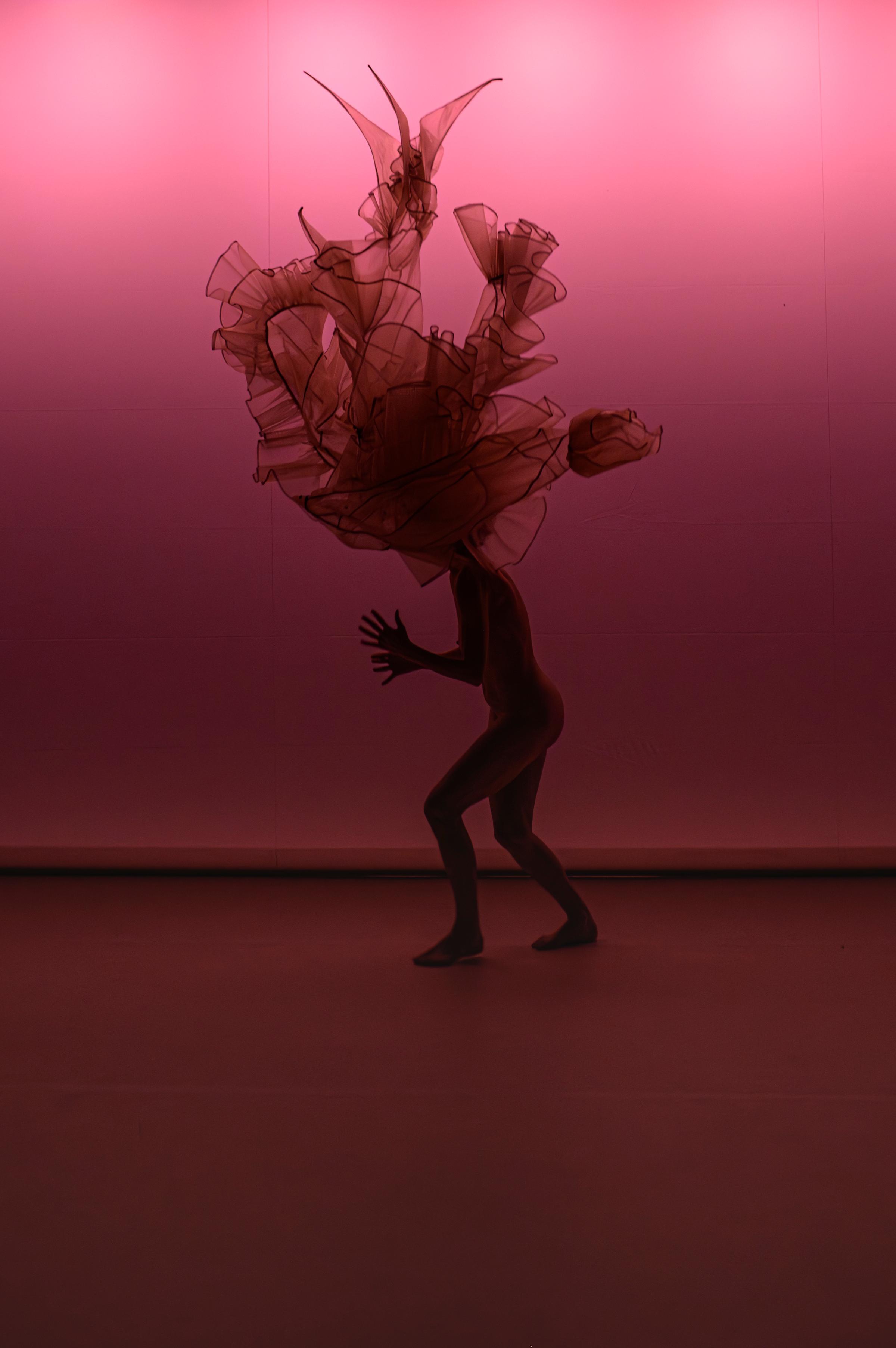 Ballet National de Marseille