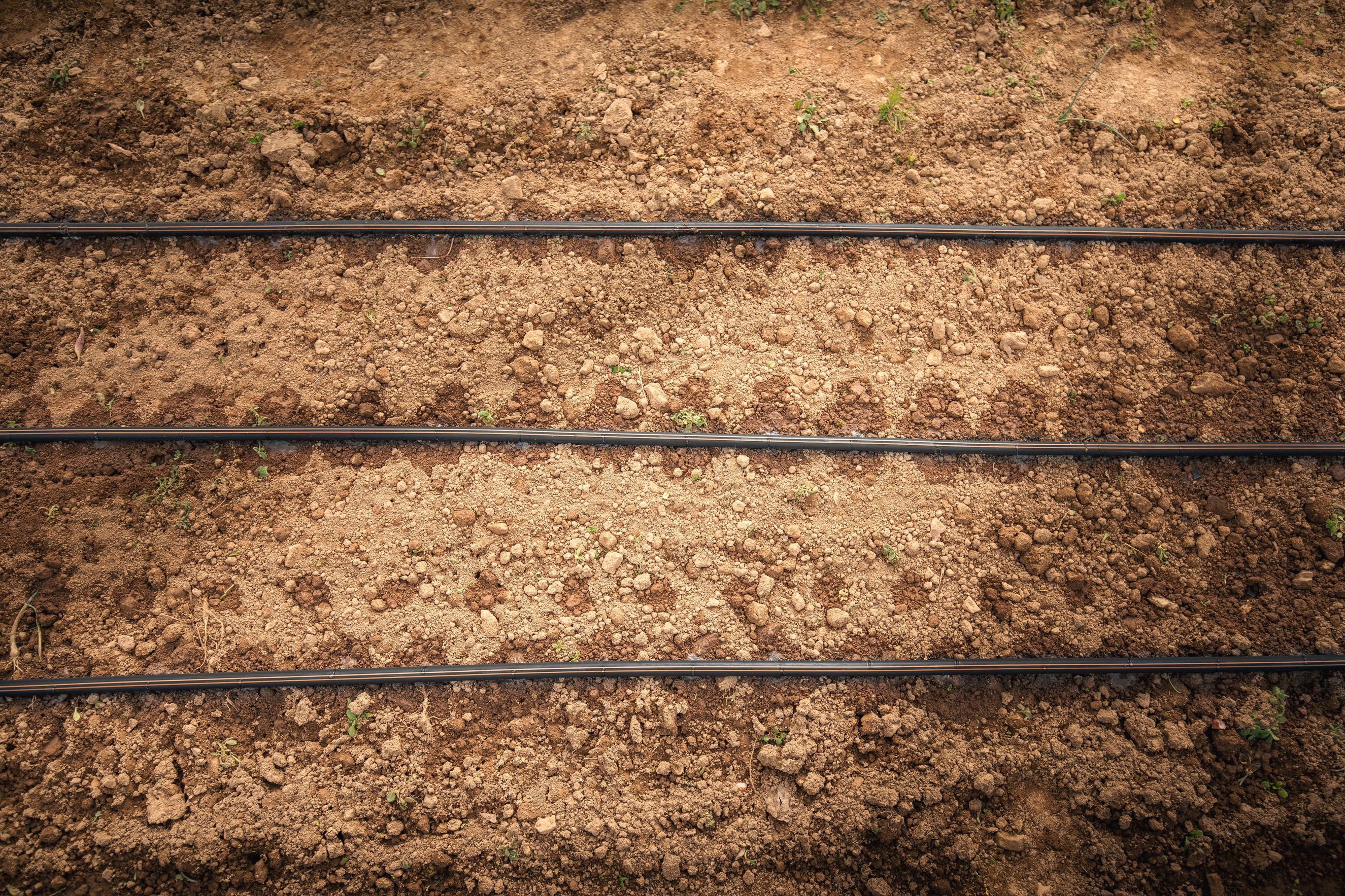 Drip Irrigation | Well-designed, quality tools and equipment | Farmers ...