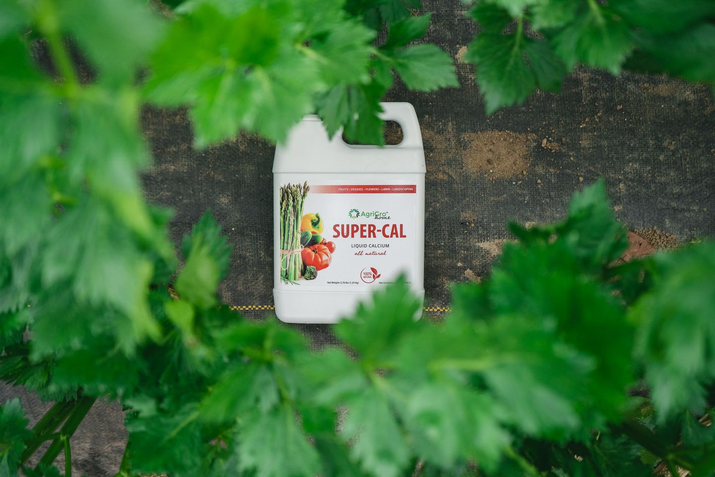 Super-Cal Liquid Calcium | Well-designed, quality tools and equipment ...