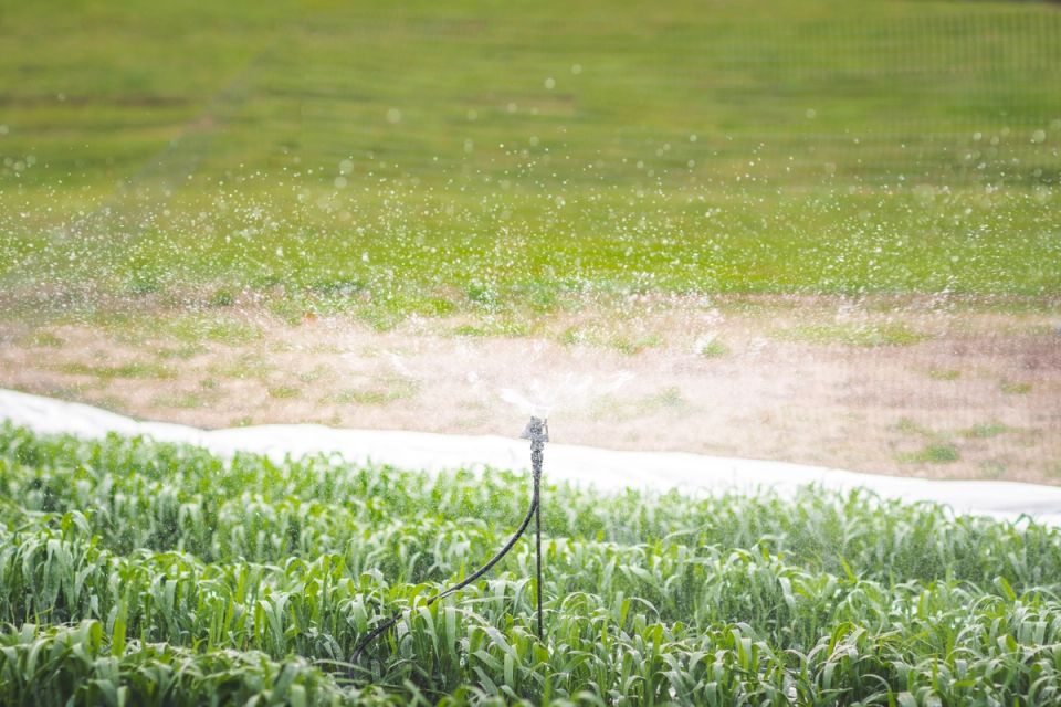 Field Irrigation | Well-designed, quality tools and equipment | Farmers ...