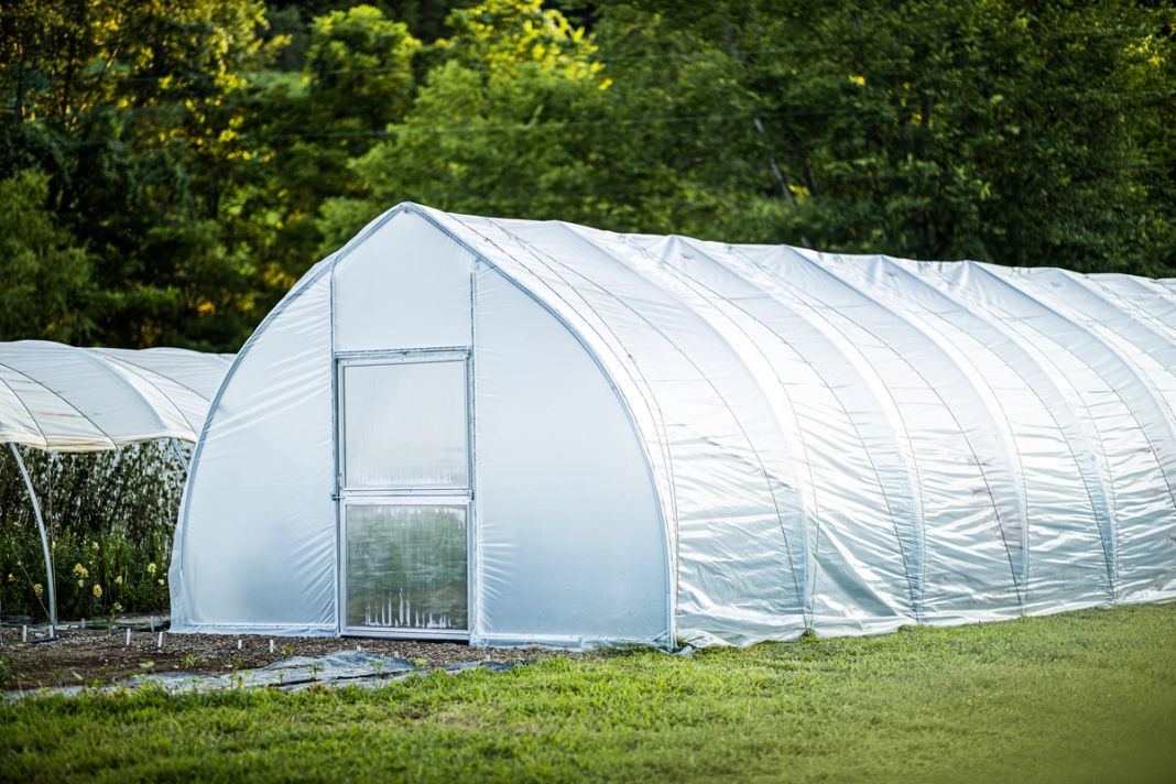 Gothic Caterpillar Tunnel | Farmers Friend