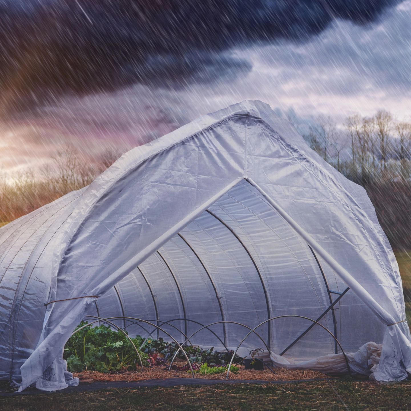 Gothic Caterpillar Tunnel | Farmers Friend