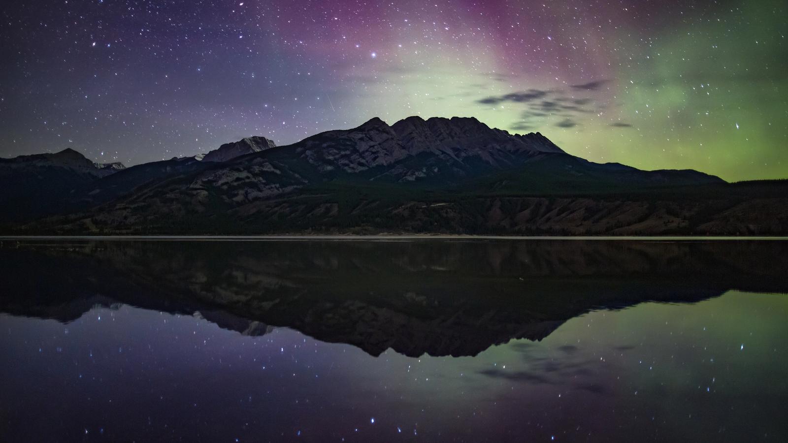 Creator Spotlight: Craft compelling content in any style with writer ...