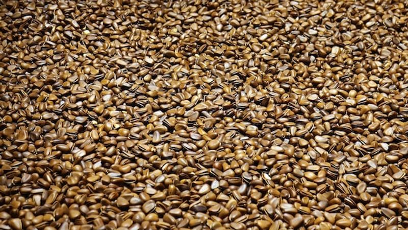 Flax seed mask replaces botox | Sugar.mn