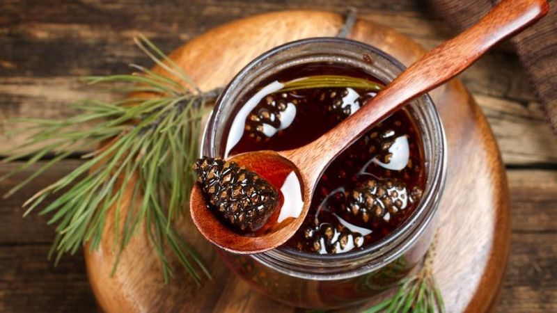 Pine cone extract helps to prevent stroke and restore the brain after a ...