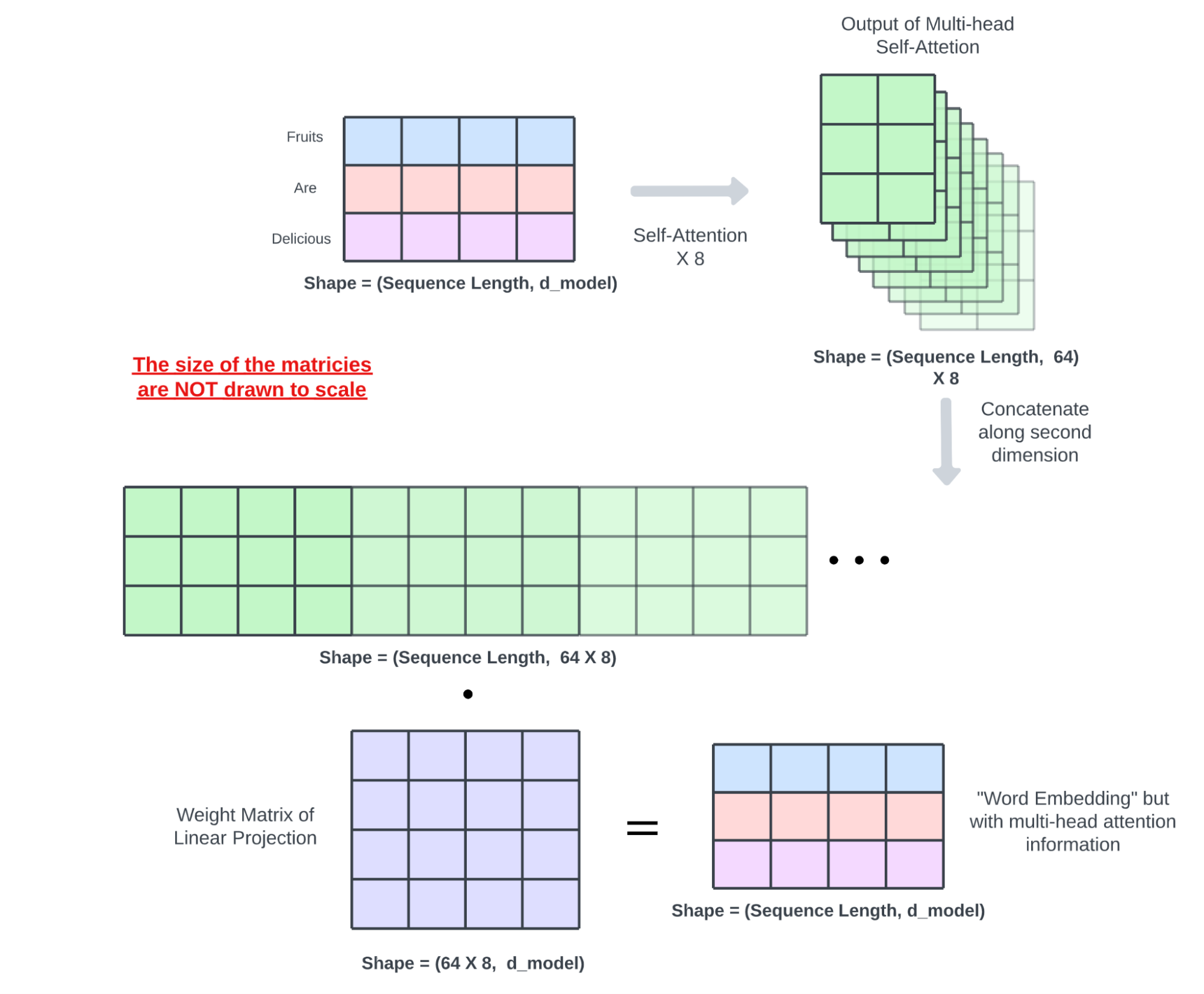 Visualizing and Explaining Transformer Models From the Ground Up ...
