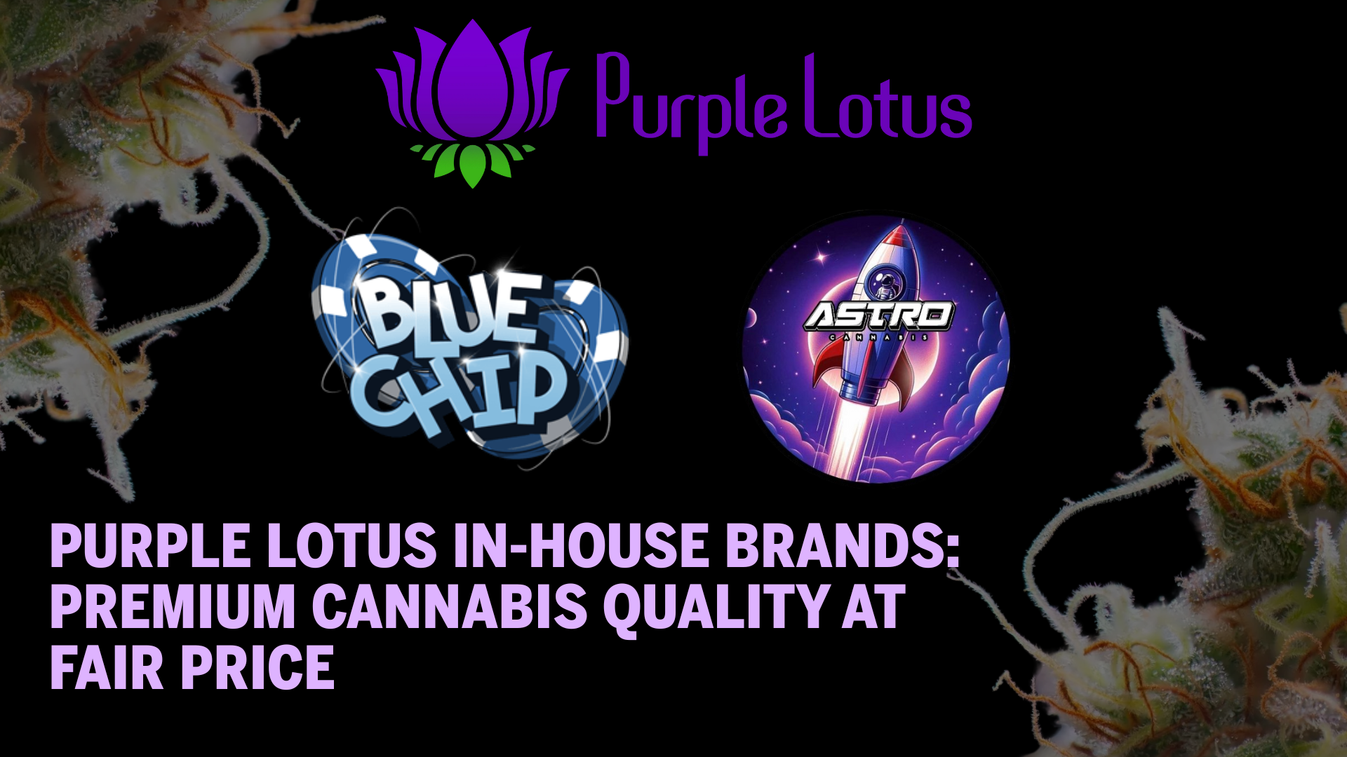 Purple Lotus In-House Brands San Jose 2026 | Purple Lotus