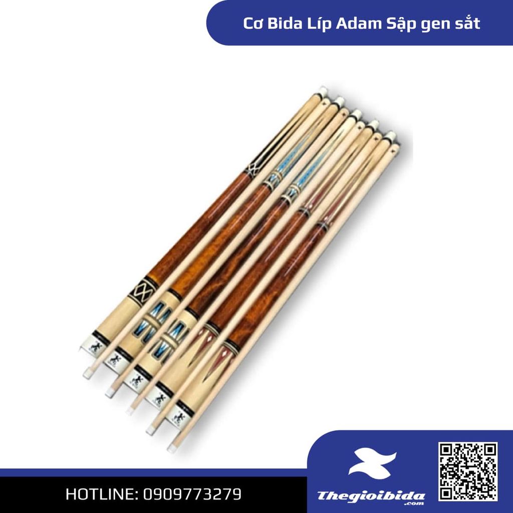 Mua bán cơ (gậy) bida (bi a) - Bảng giá 2025 mới nhất