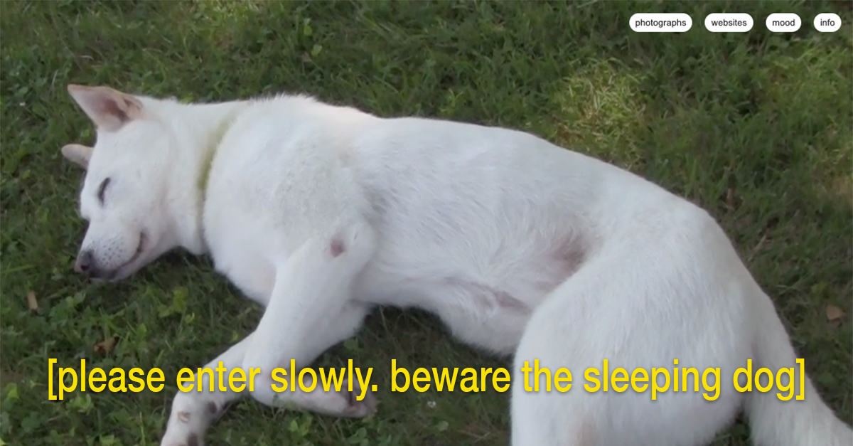 𝒹𝒶𝓃𝒶 𝓀𝒾𝓂 ☆´¨) ¸.·*