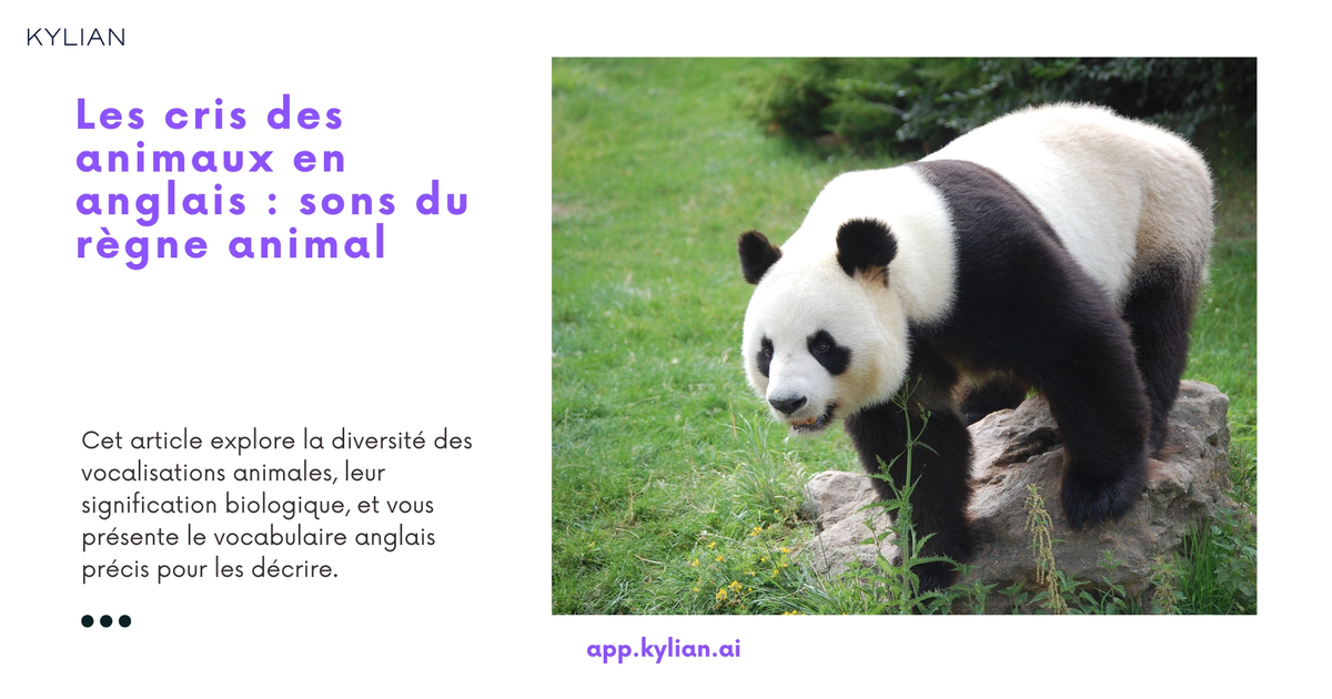 Les cris des animaux en anglais : sons du règne animal