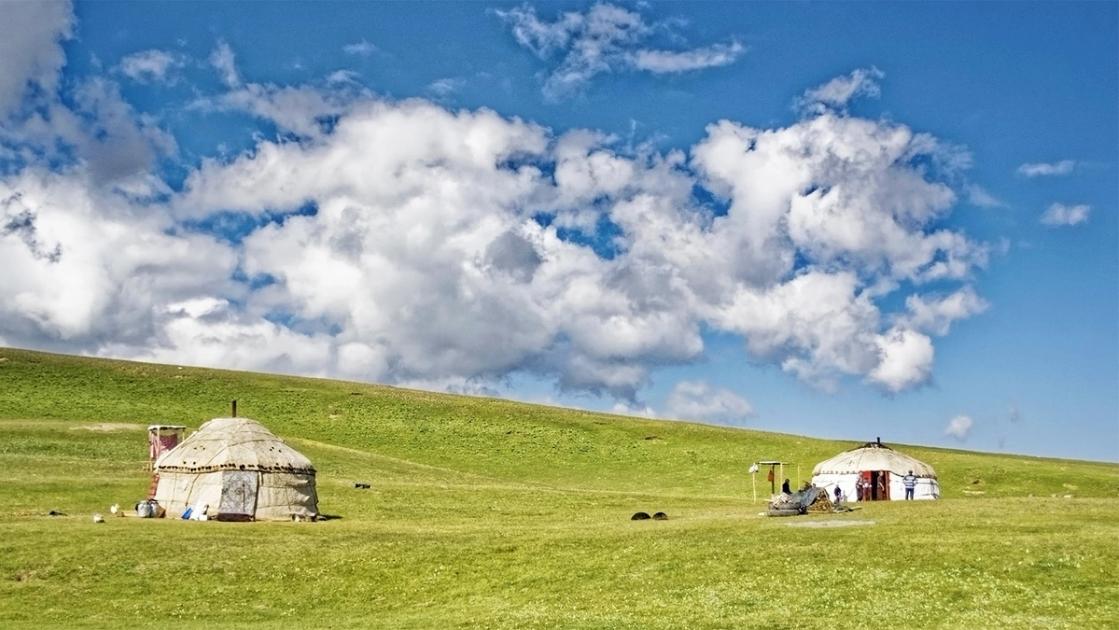 Mongolian Dogs Explained The Truth Behind the Internet Famous Flat Dog ...