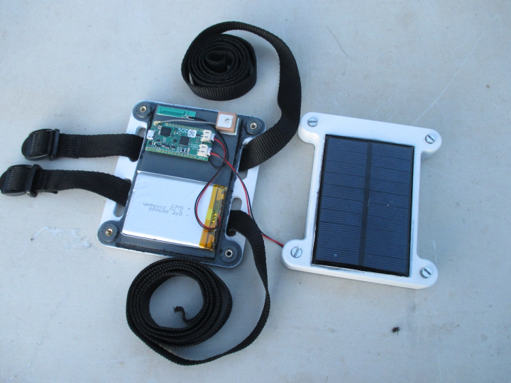 A Step-by-Step Guide to Building a Sheep Tracking Device