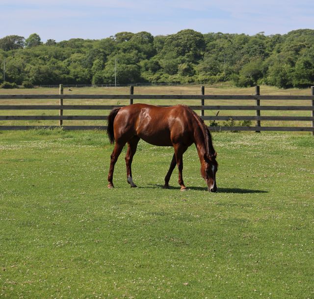 Contact – The Ranch