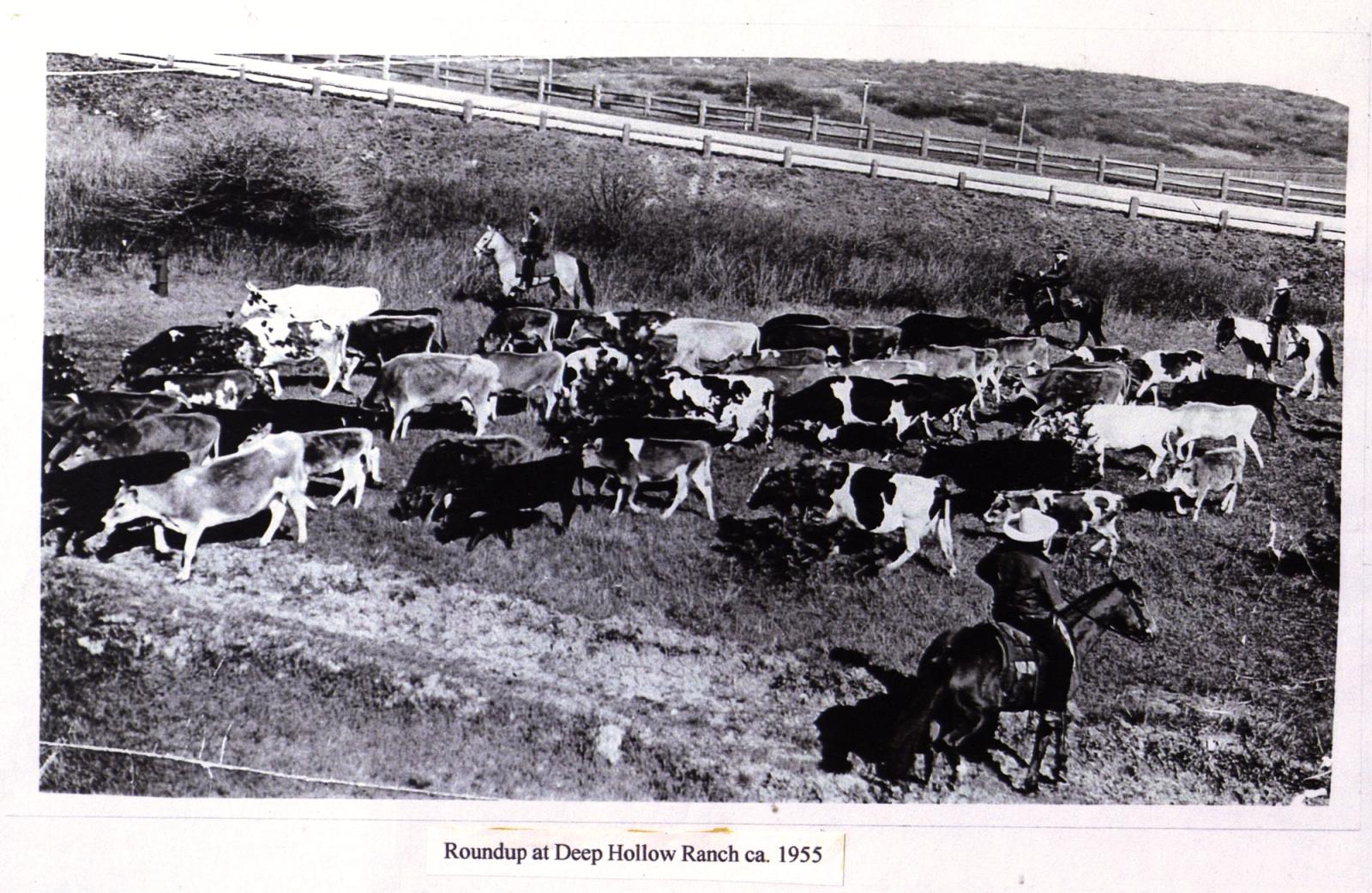 Contact – The Ranch
