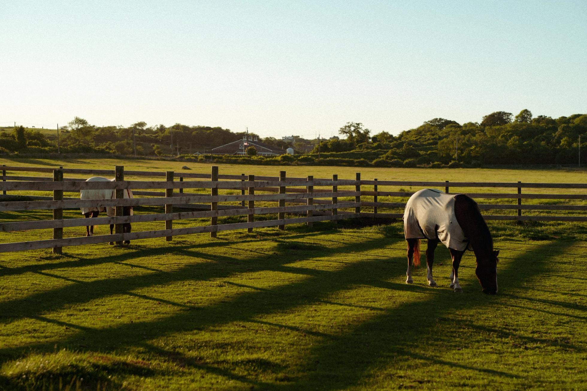 Contact – The Ranch