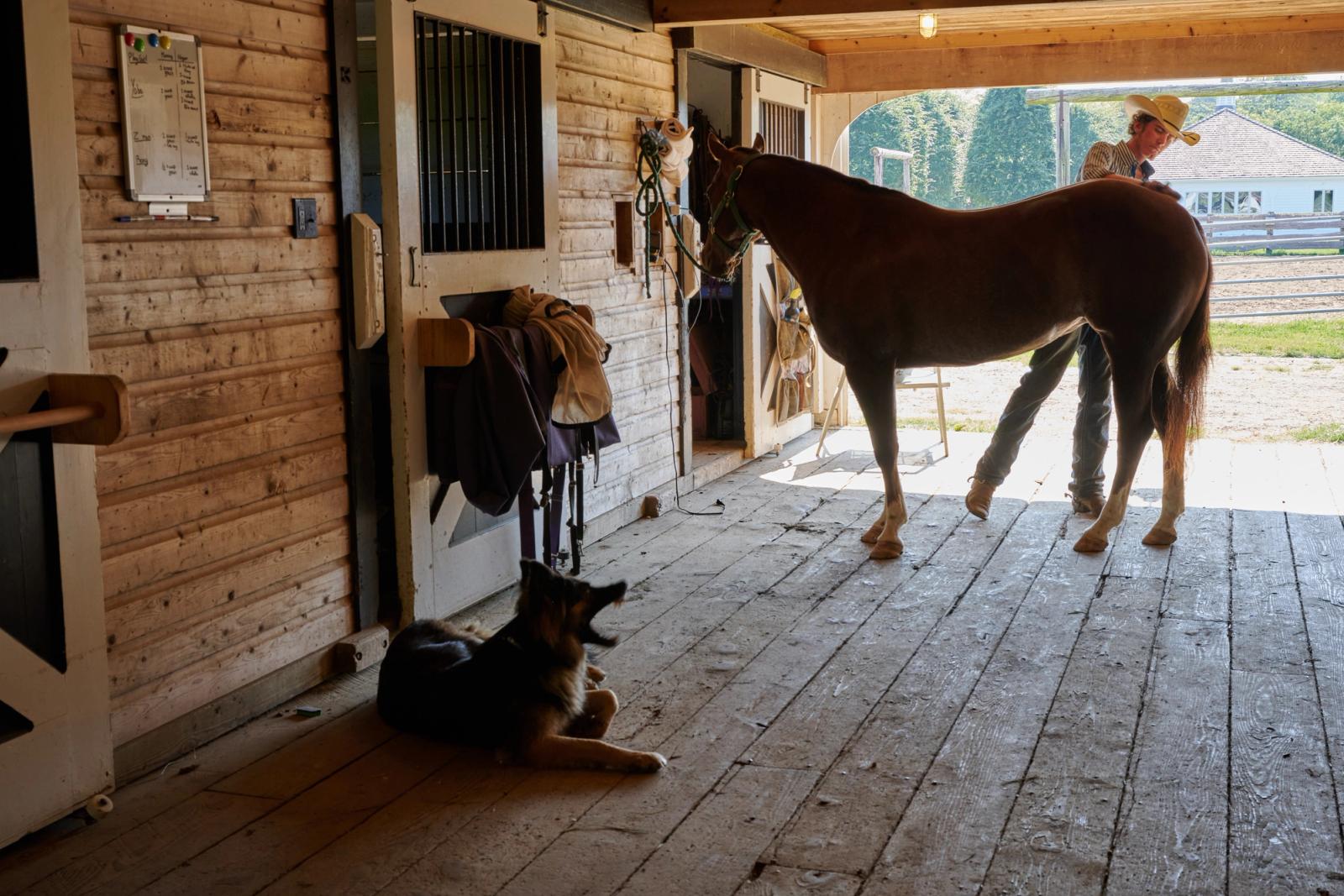 Contact – The Ranch