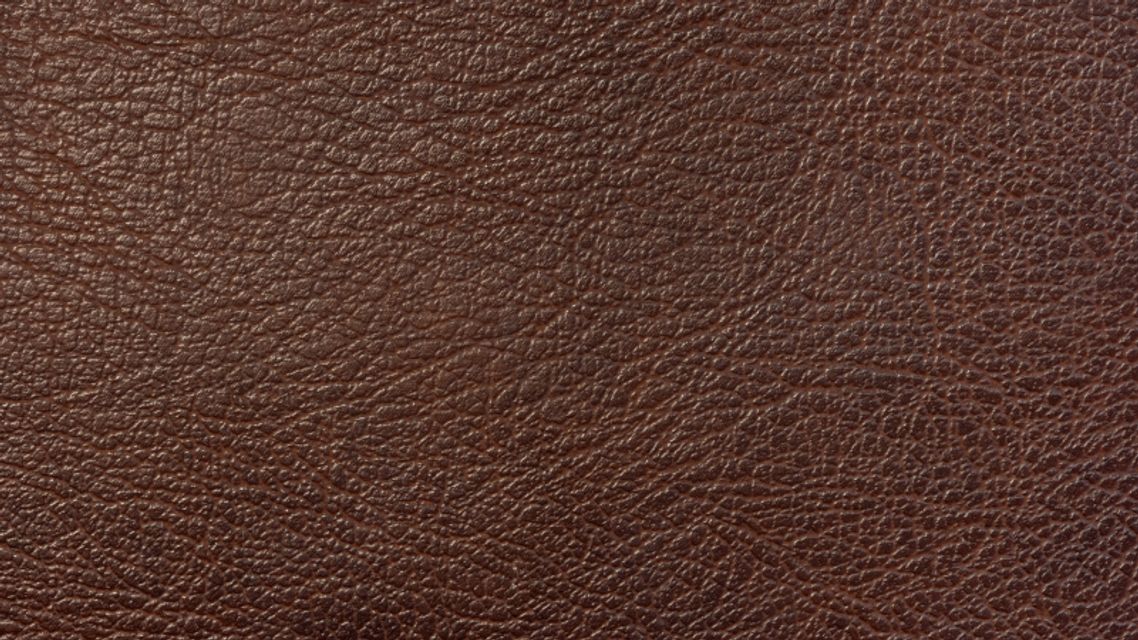 Guia de Cuidados - Couro