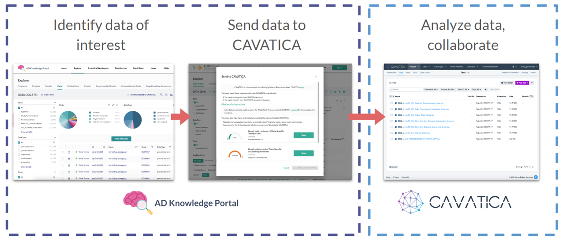 Sage Bionetworks integrates CAVATICA into the NIH Alzheimer’s Disease ...