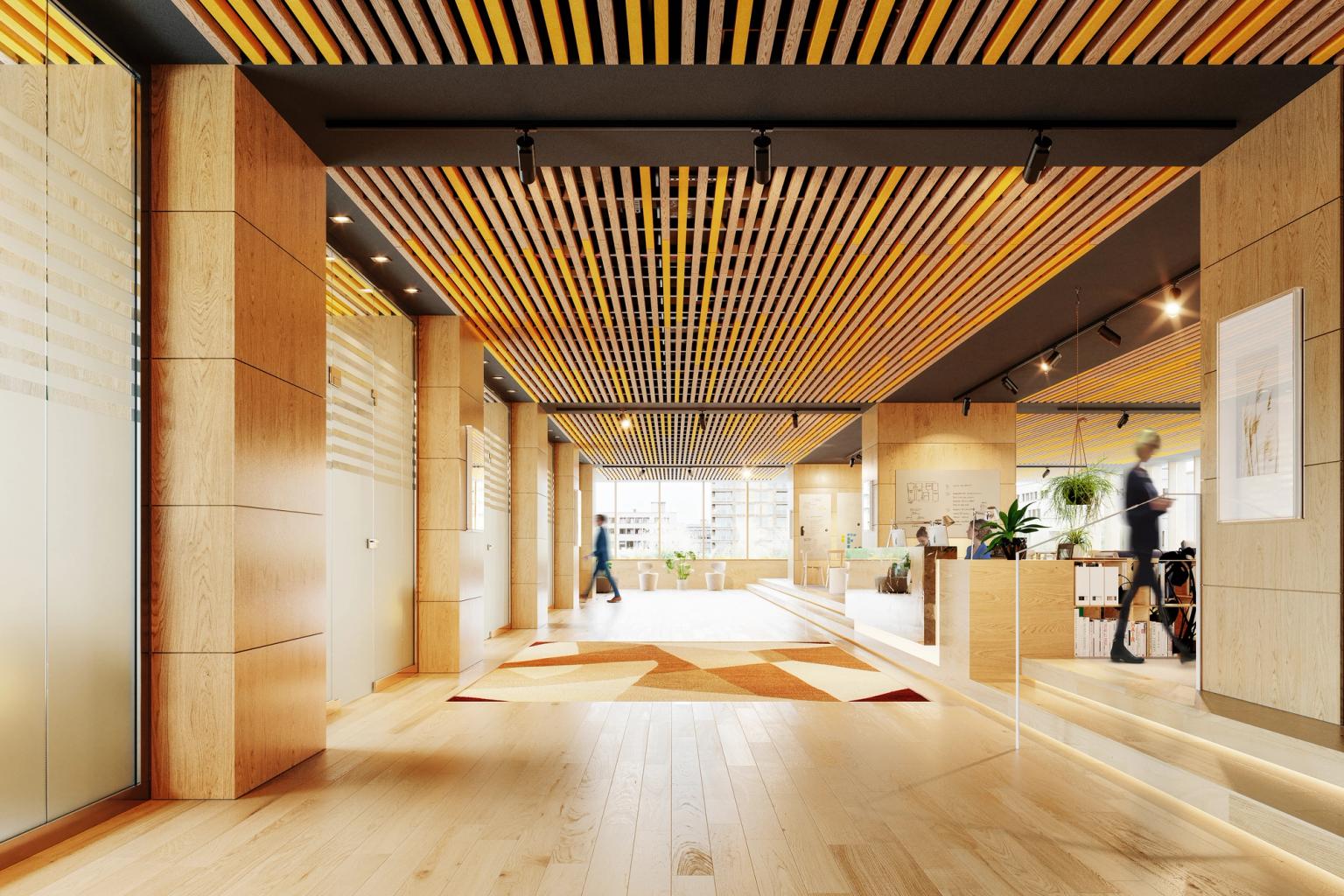 Arbor | Canopy Baffle System