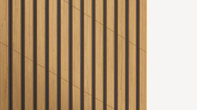 Linear | Ceiling & Wall Scape