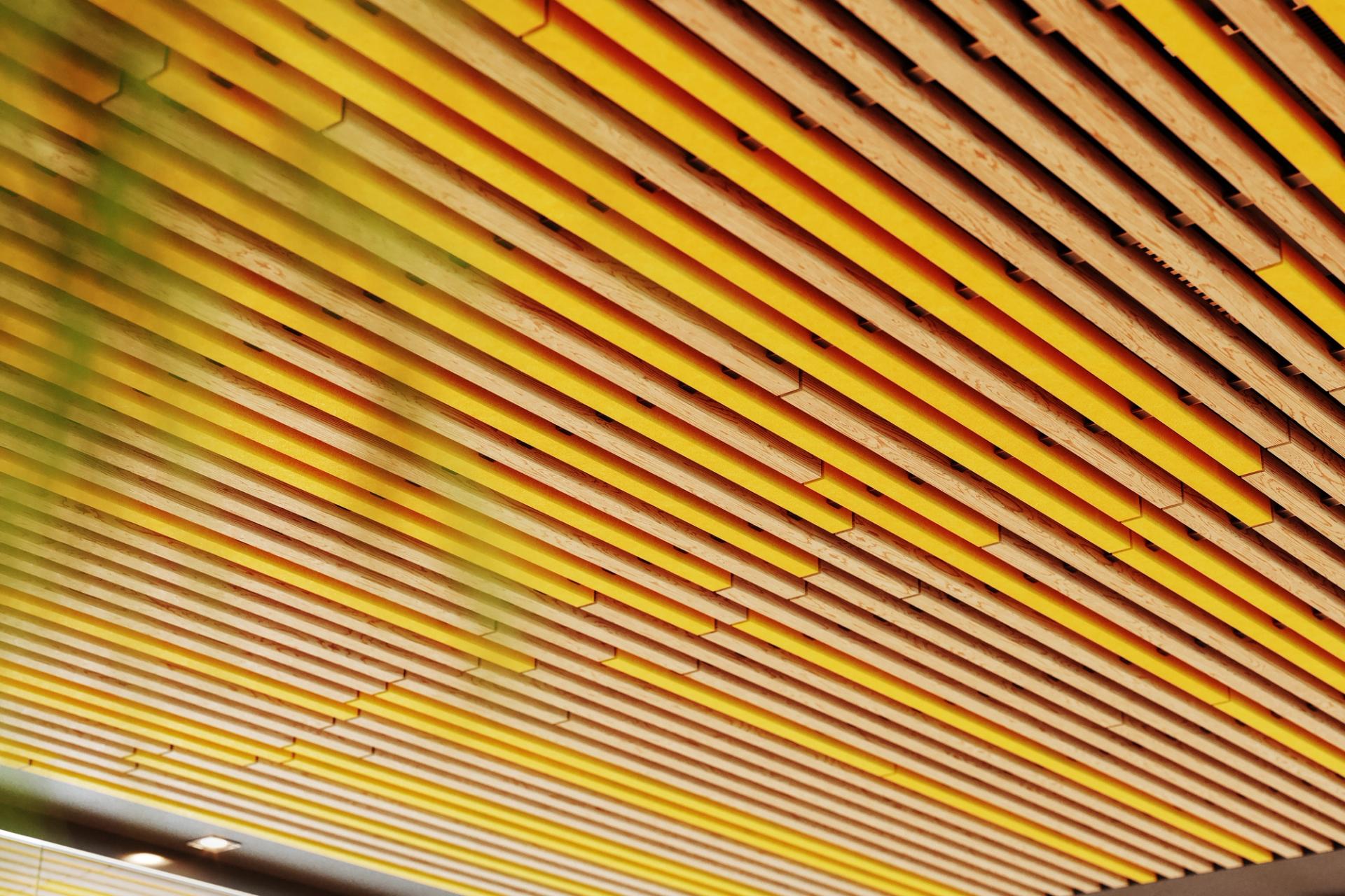 Arbor | Canopy Baffle System