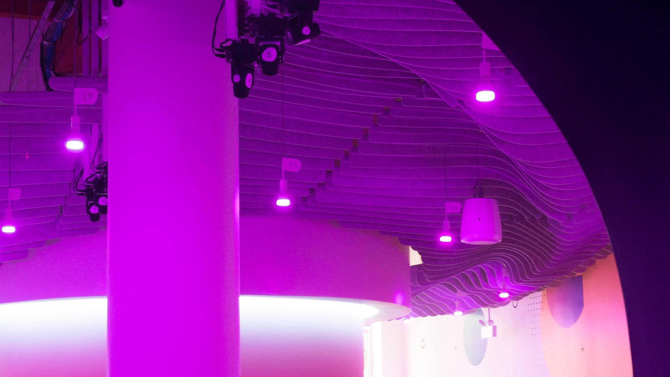 Turf Portfolio | Codeverse