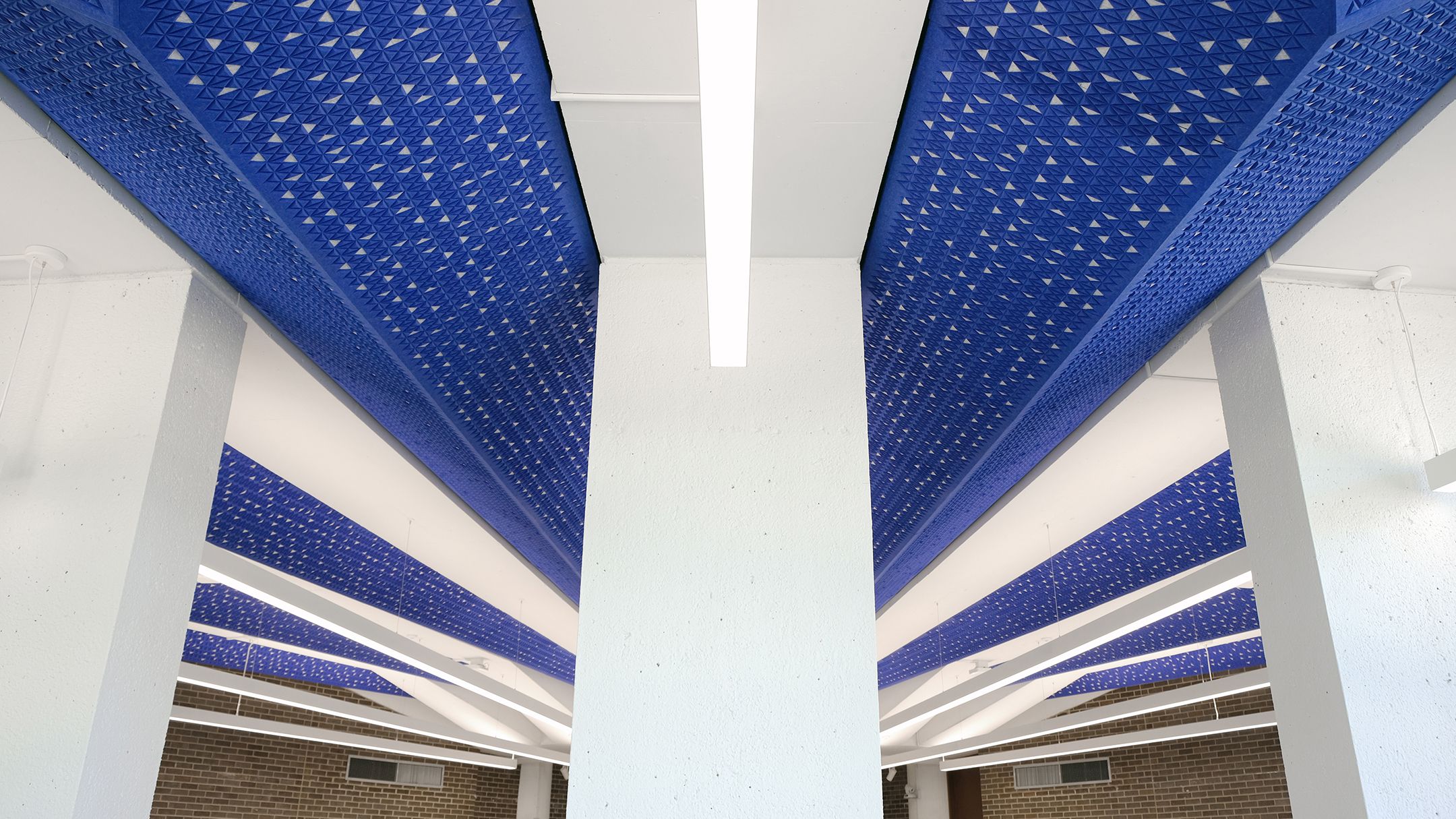 Turf Portfolio | UIC Lecture Center C