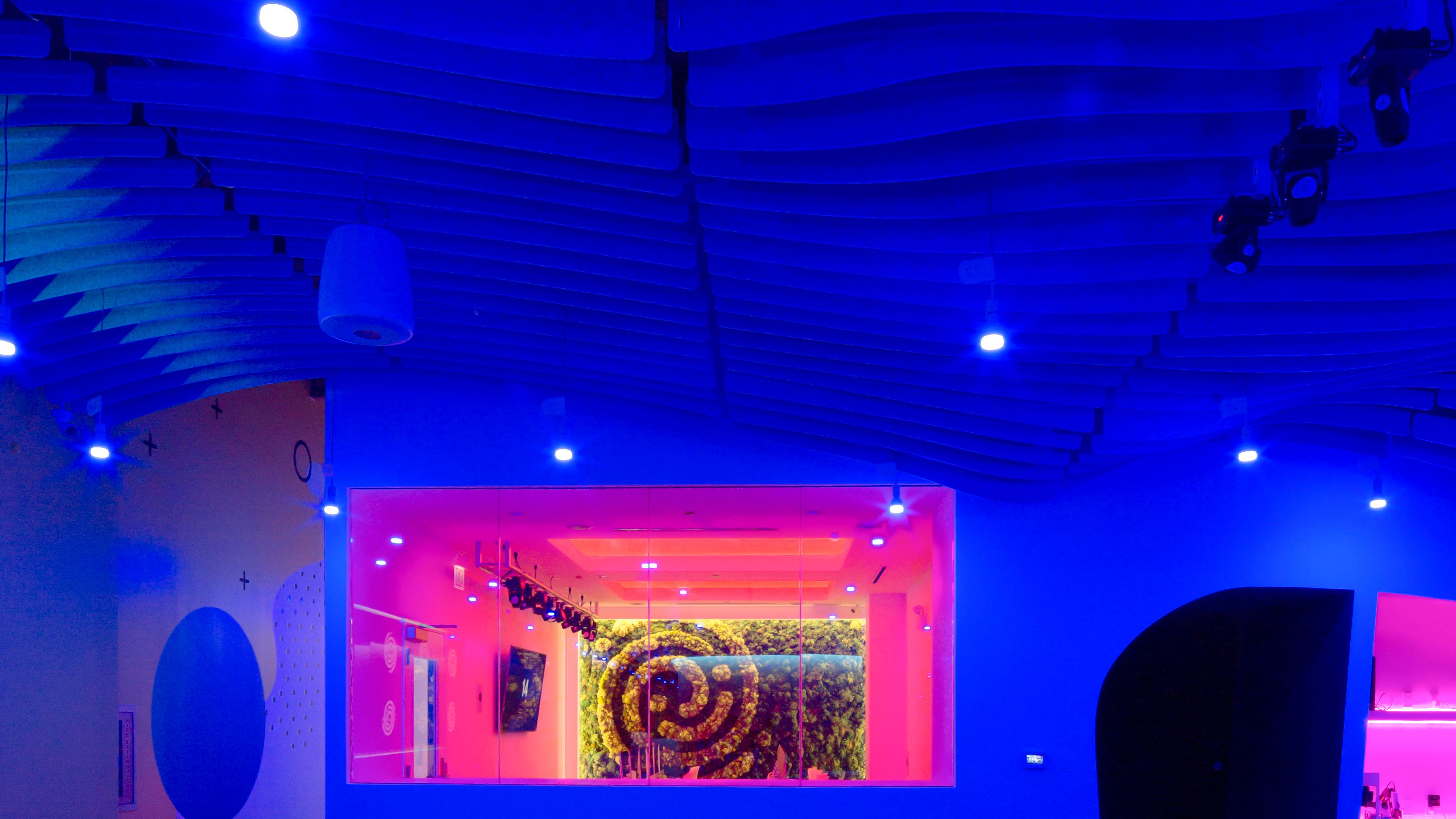 Turf Portfolio | Codeverse