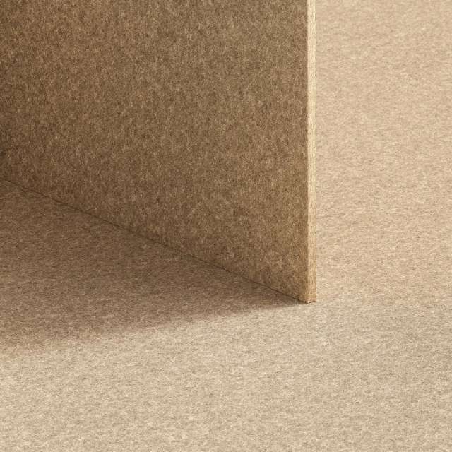 Freeform | Acoustic Ceiling Baffle