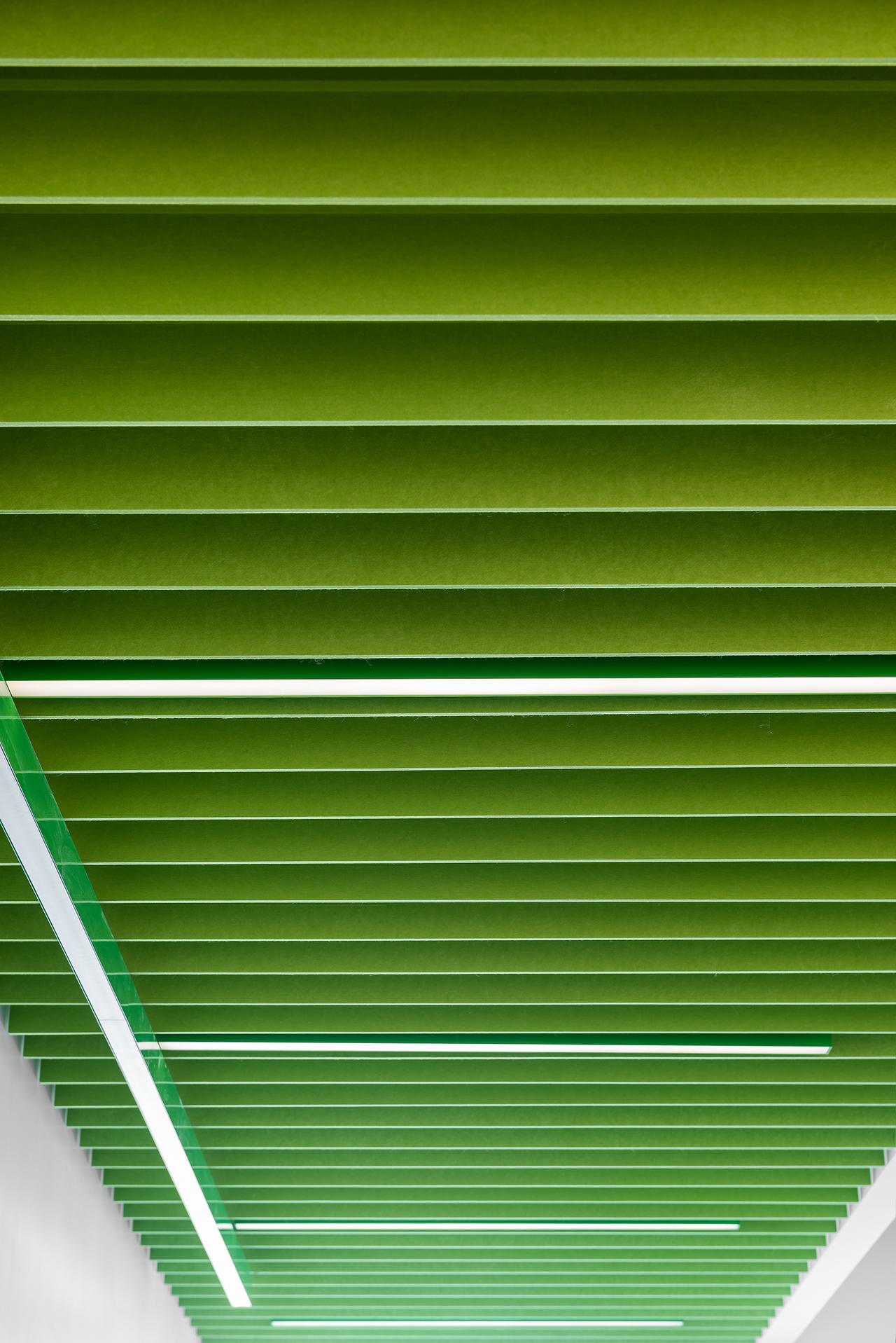 Turf Portfolio | Confidential Client