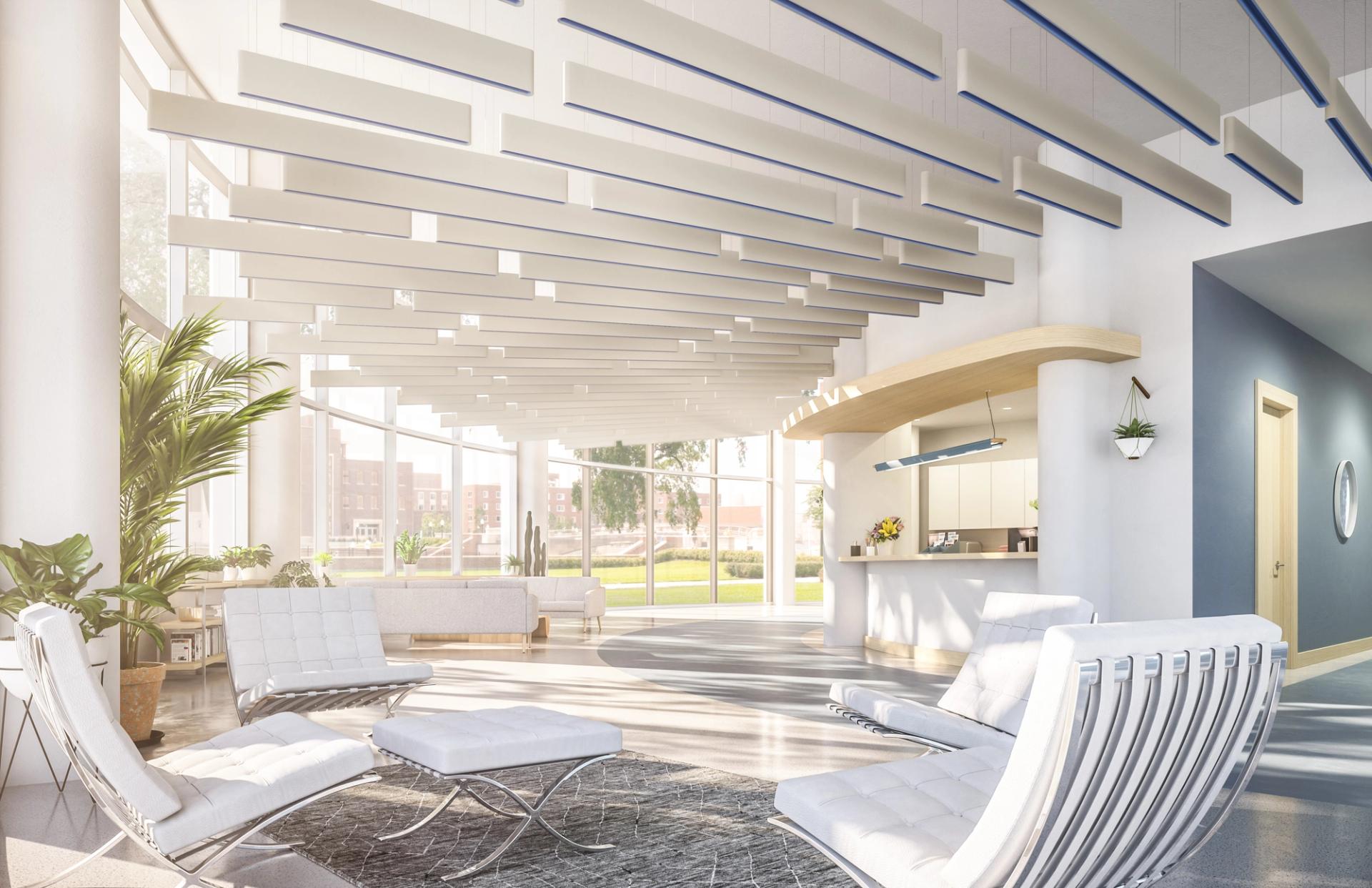 Warp | Acoustic Ceiling Baffle