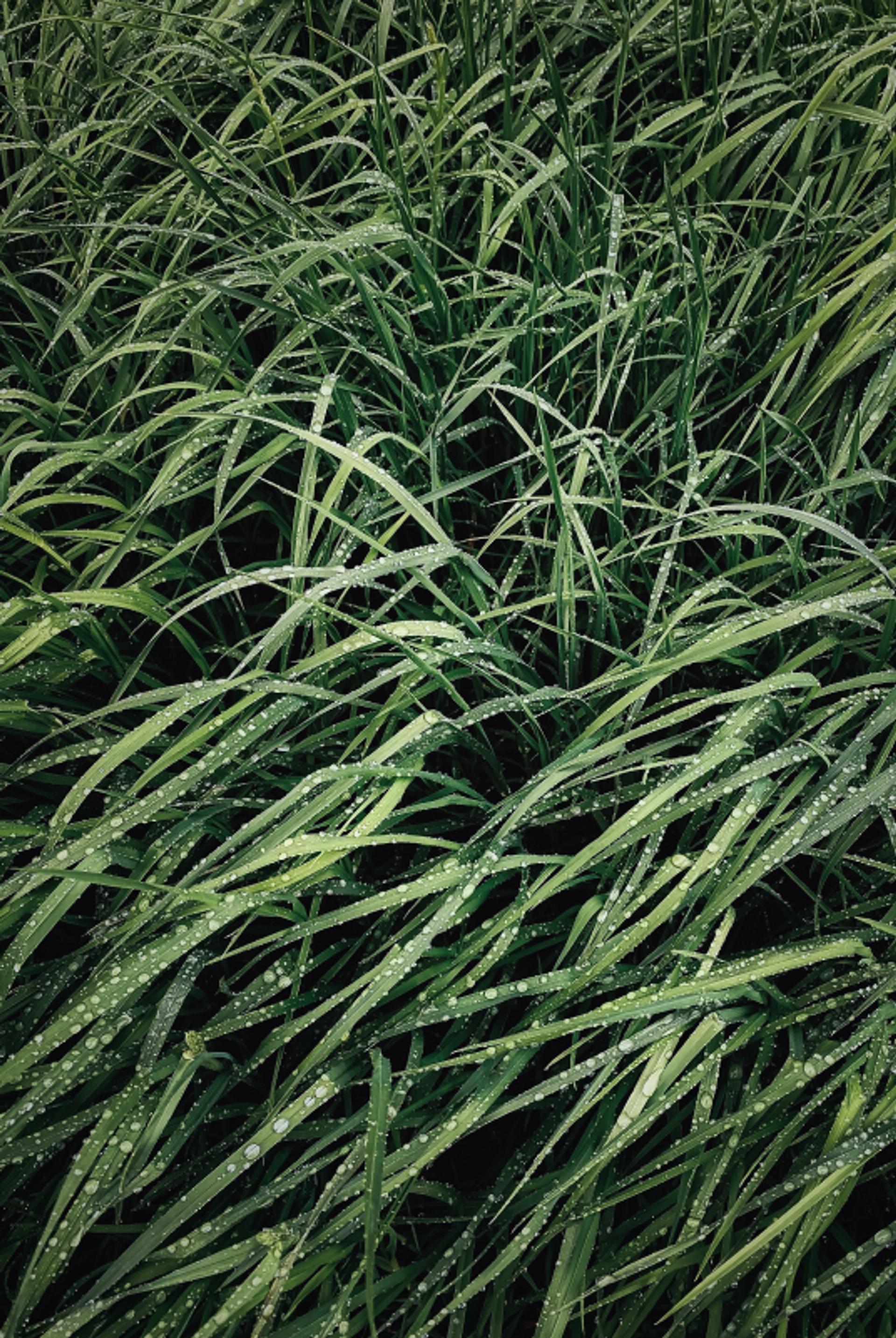 Introducing Turf's New 9mm Felt Palette