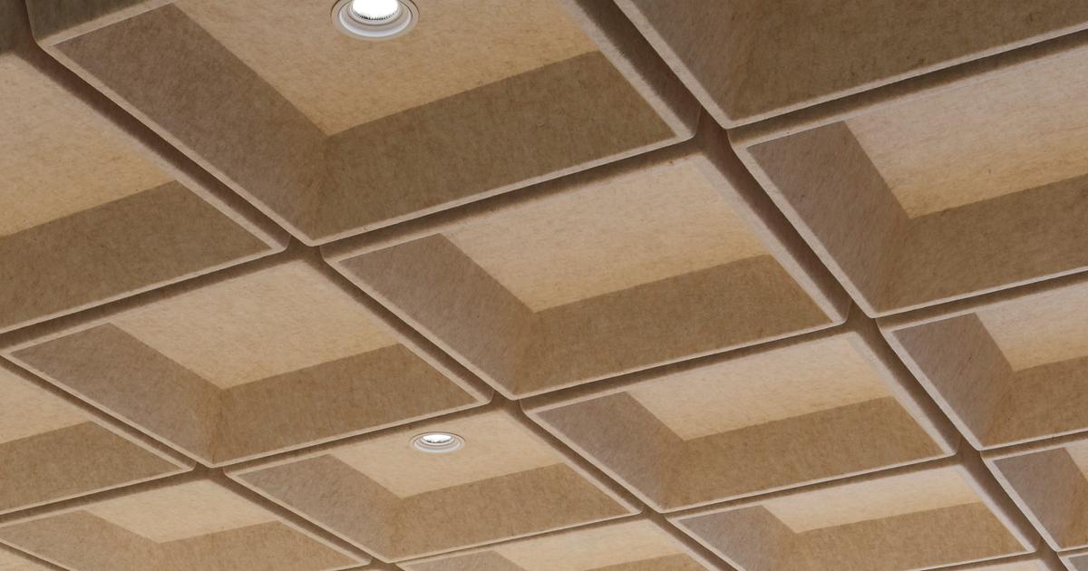 Port | Acoustic Ceiling Title
