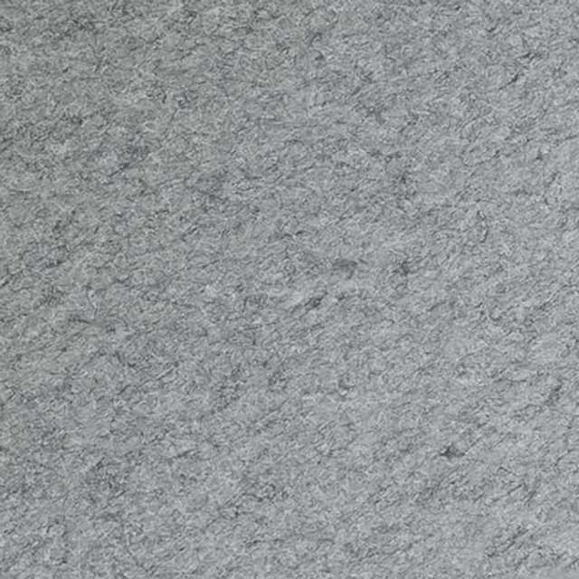 Port | Acoustic Ceiling Title