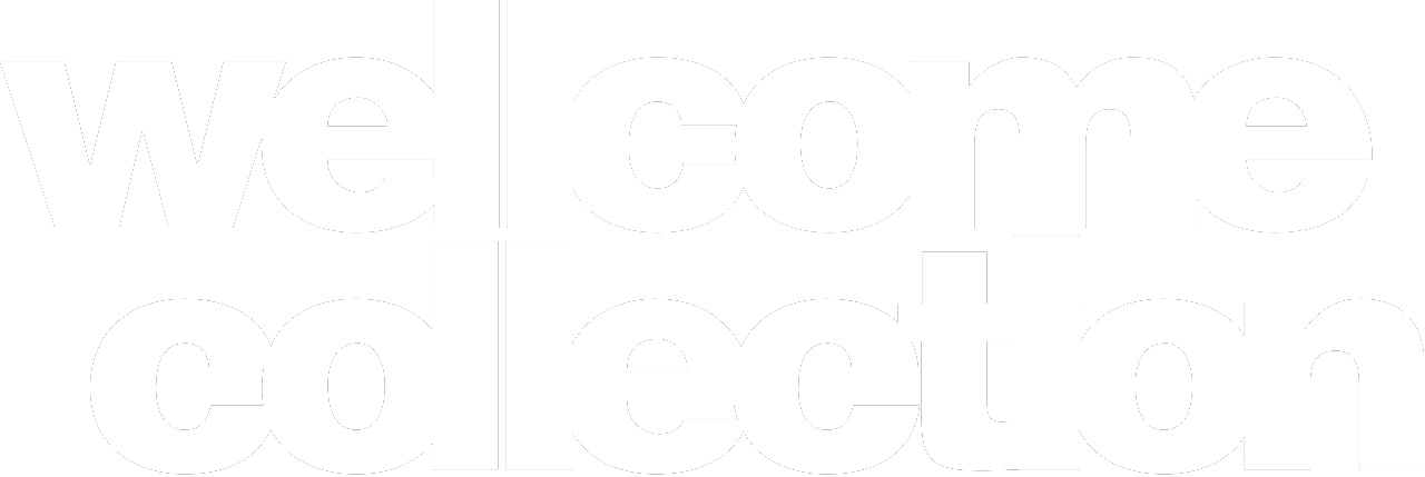 Mediagraph | Modern Digital Asset Management Platform | Mediagraph.io