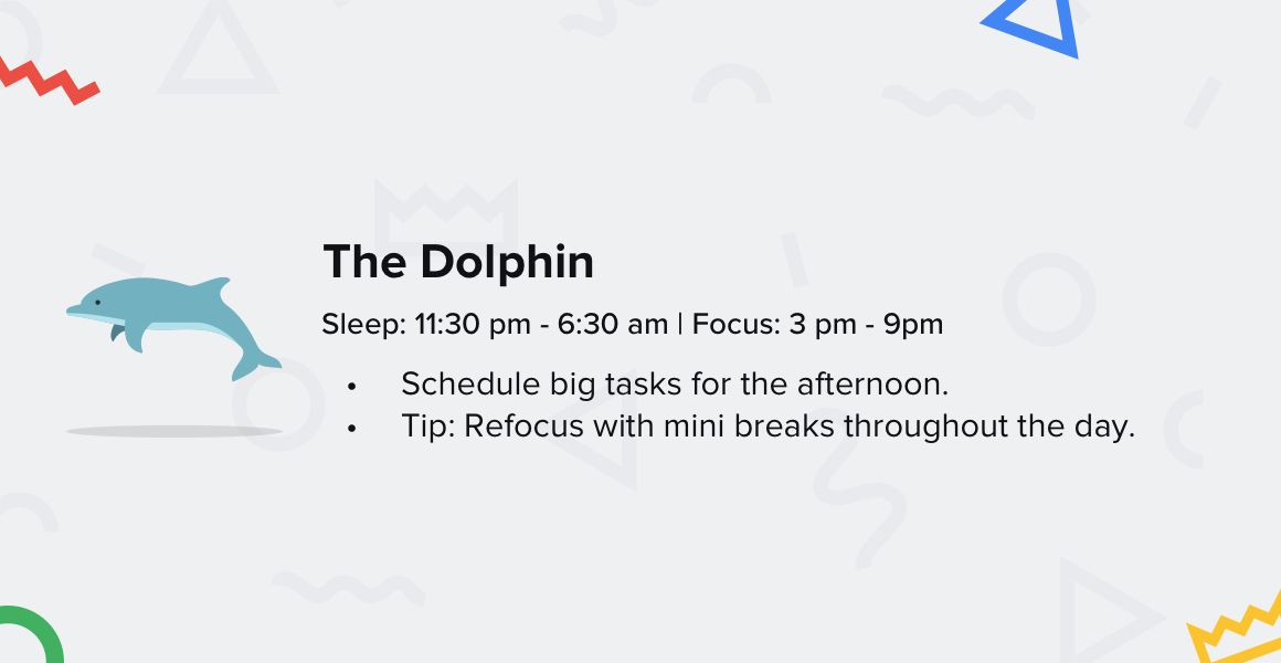 How to Synchronize Sleep Chronotypes and Productivity - Shift Blog ...