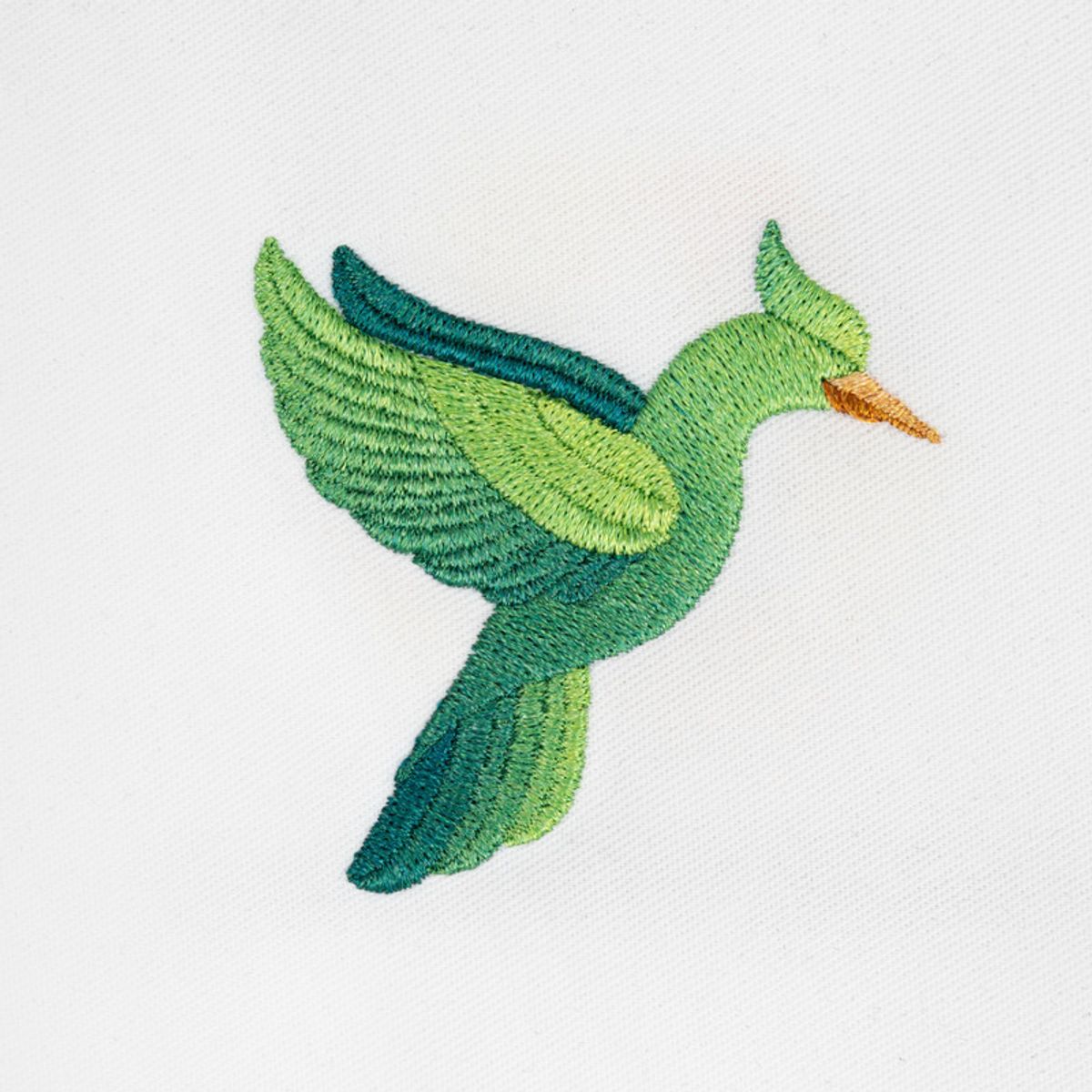 Bird song | Coloreel