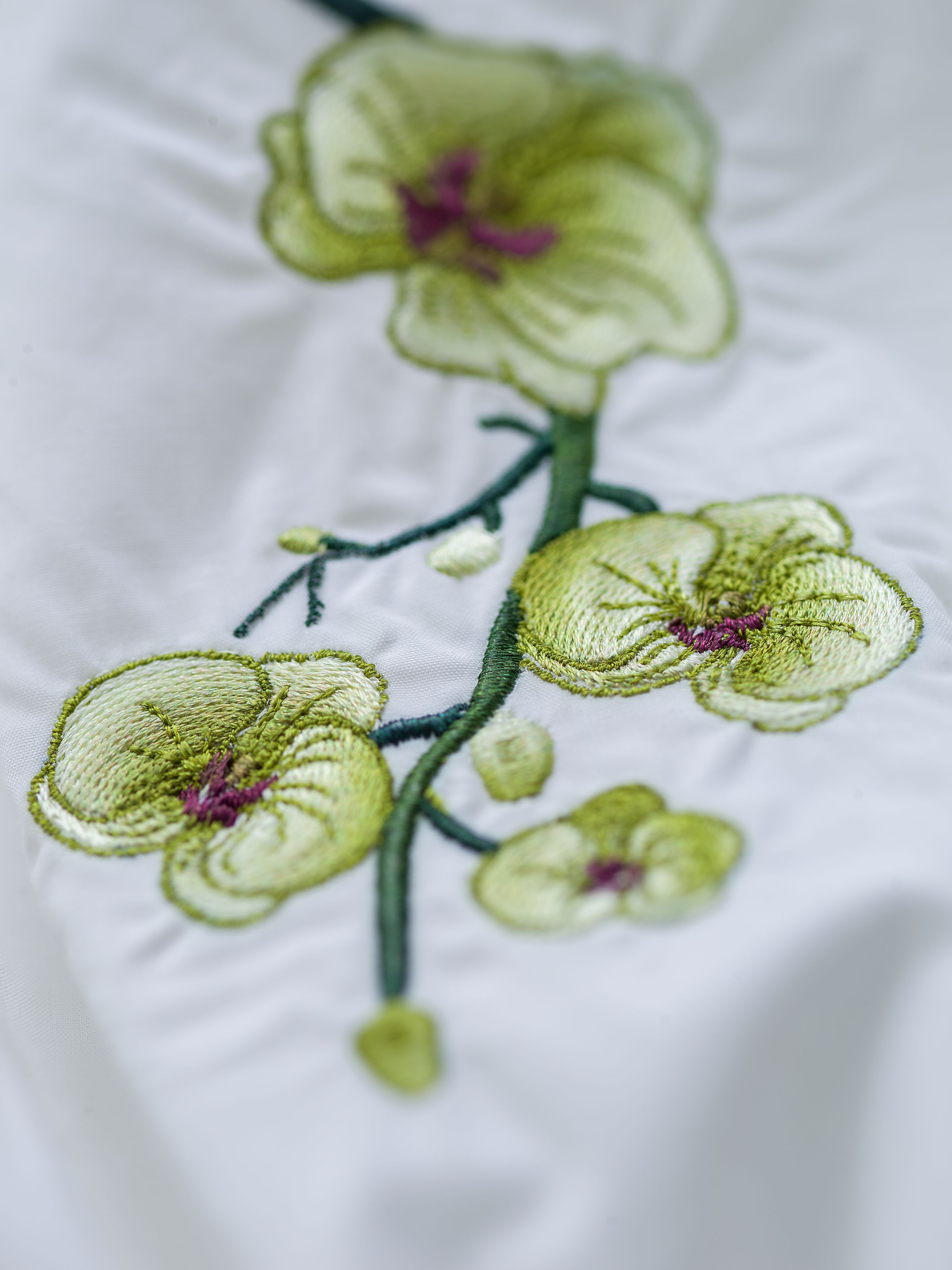 Download free Coloreel embroidery files | Coloreel