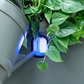 Biome Taiga Smart Living Wall | Rachio