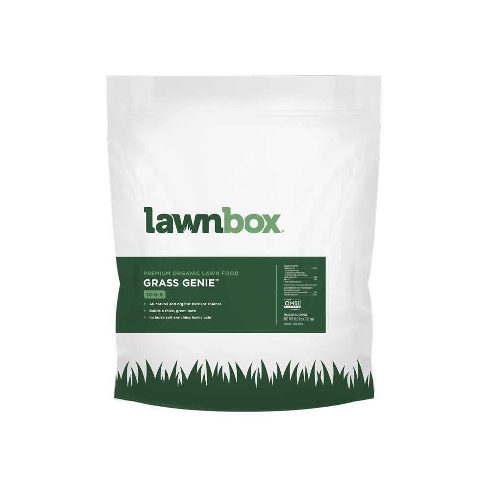 The Andersons Grass Genie 10-0-6 | Rachio