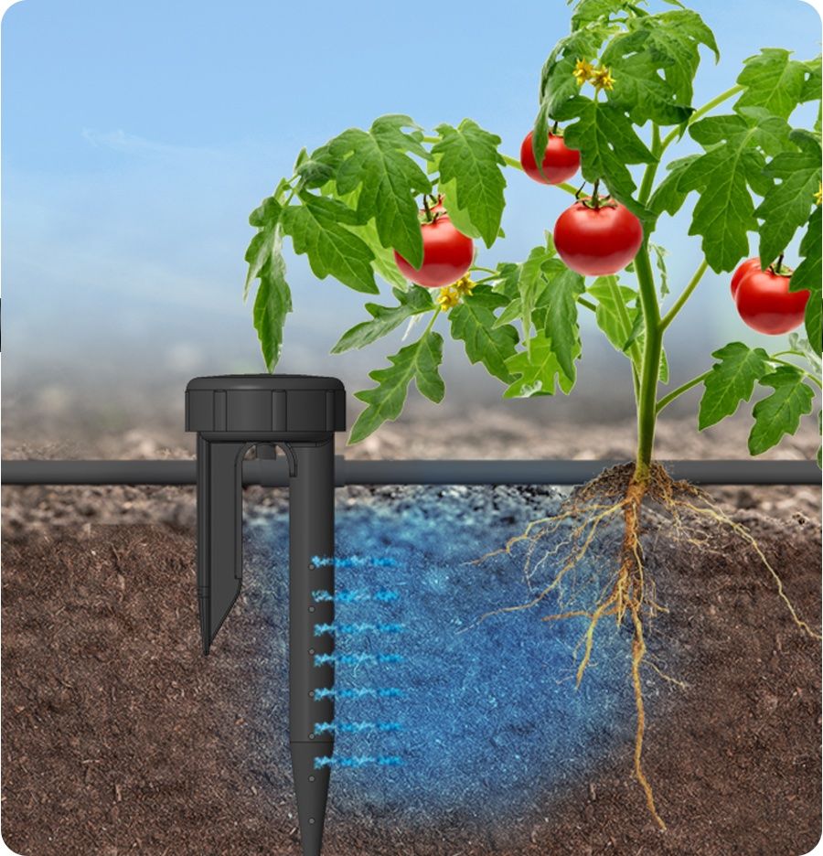 Plant root watering from Root Quencher Spike | Rachio