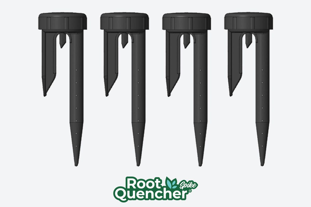 Plant root watering from Root Quencher Spike | Rachio