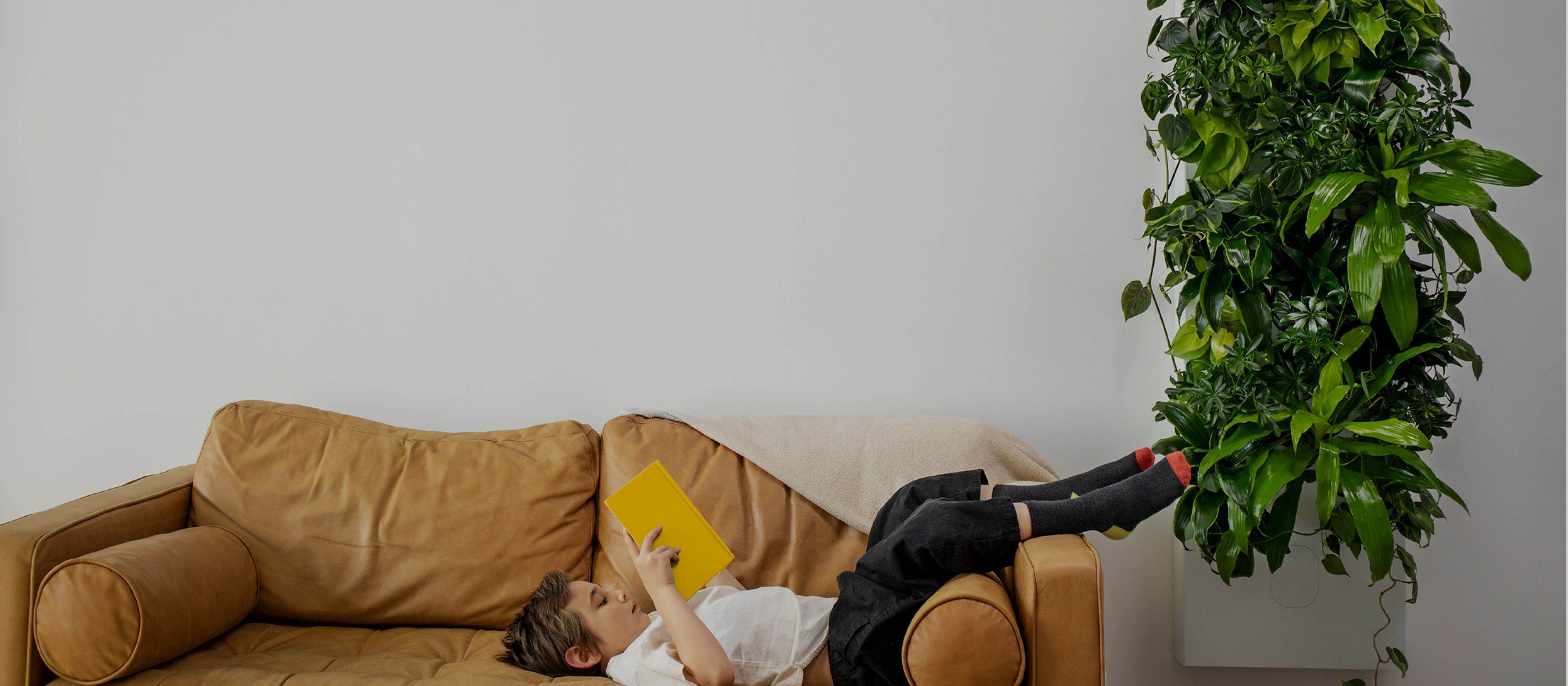 Biome Taiga Smart Living Wall | Rachio