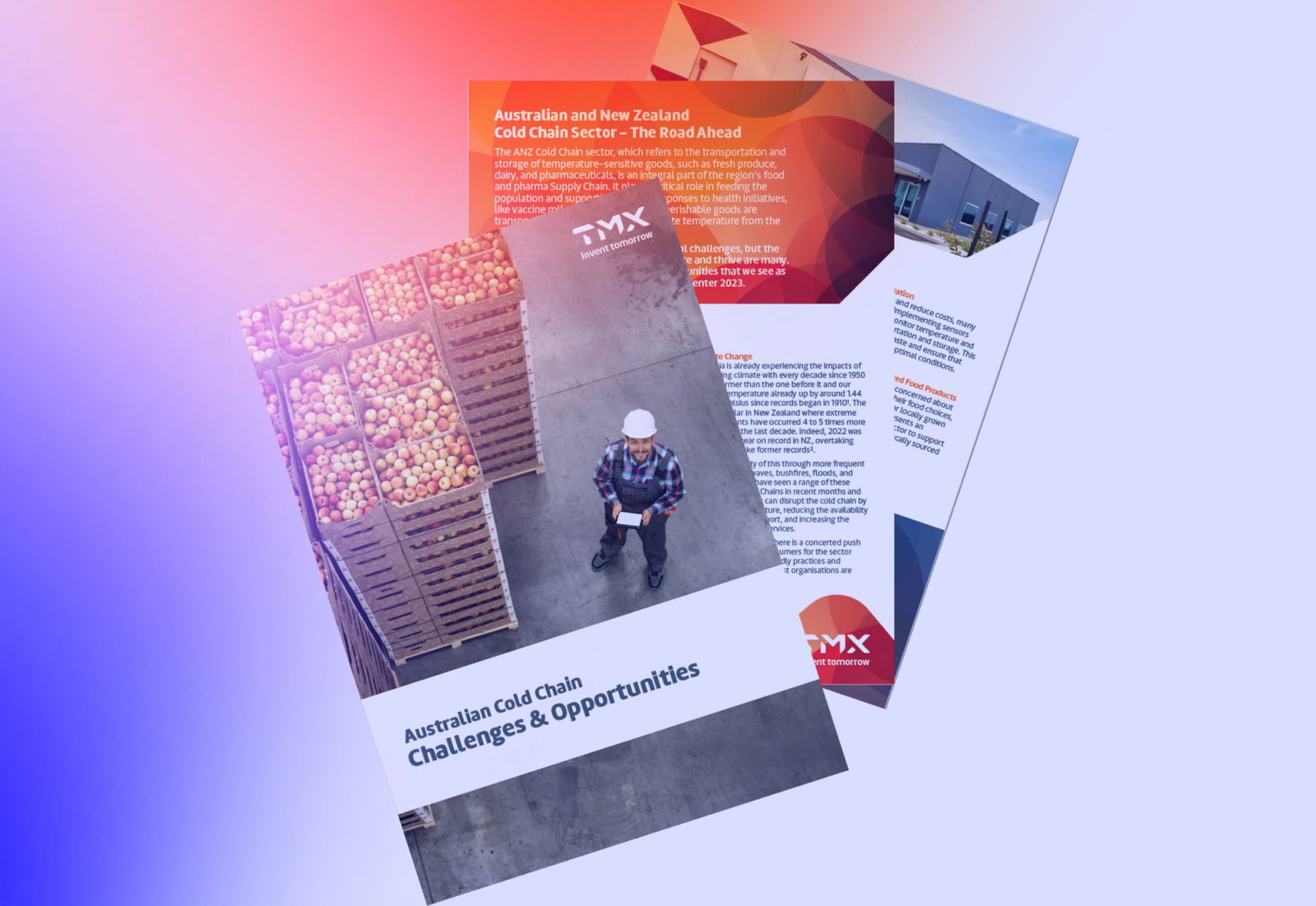 Challenges and opportunities in Australia New Zealand cold chain | TMX ...